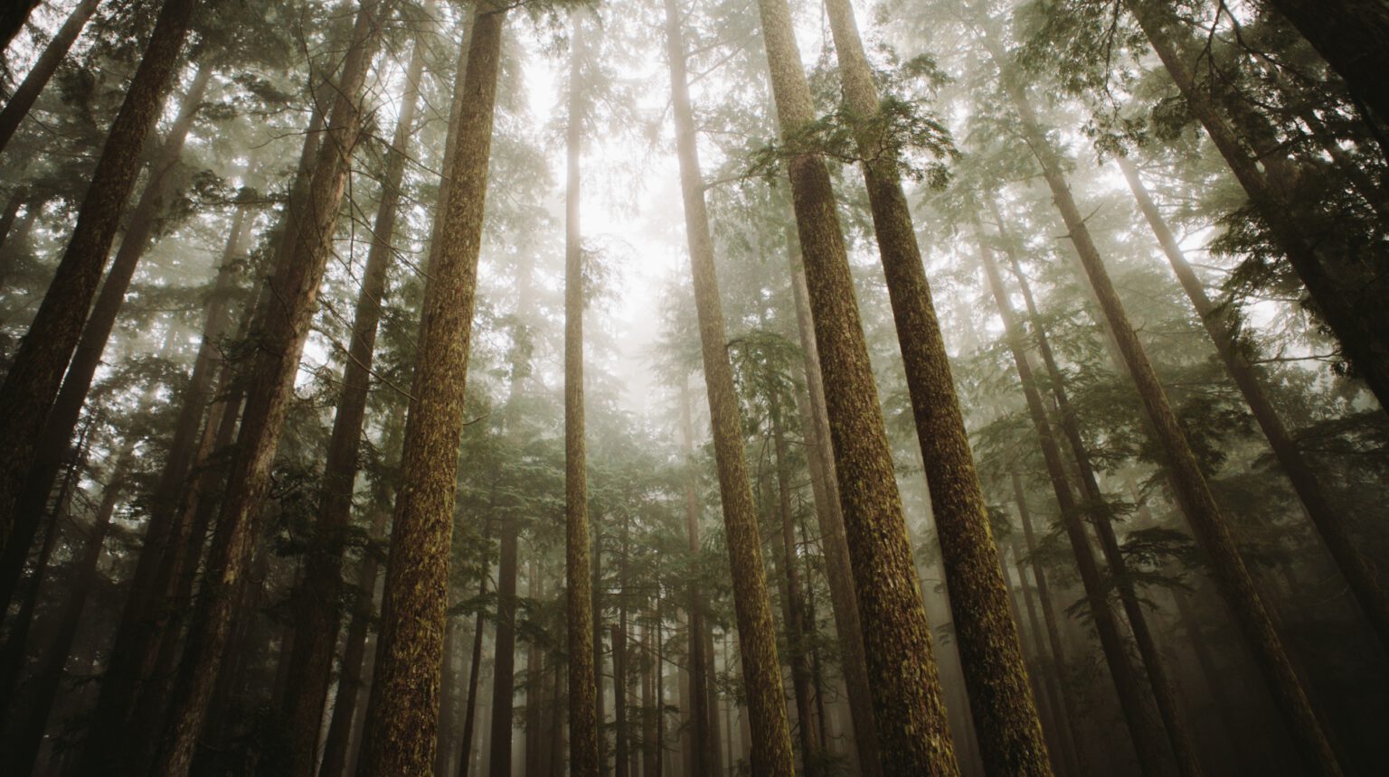 Sabbatical Travel - Journey Inward. Travel Outward.